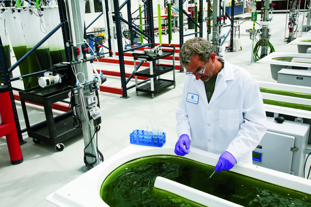 ExxonMobil Purchases Stake in Biojet to Expand Biofuel Portfolio - NGT News